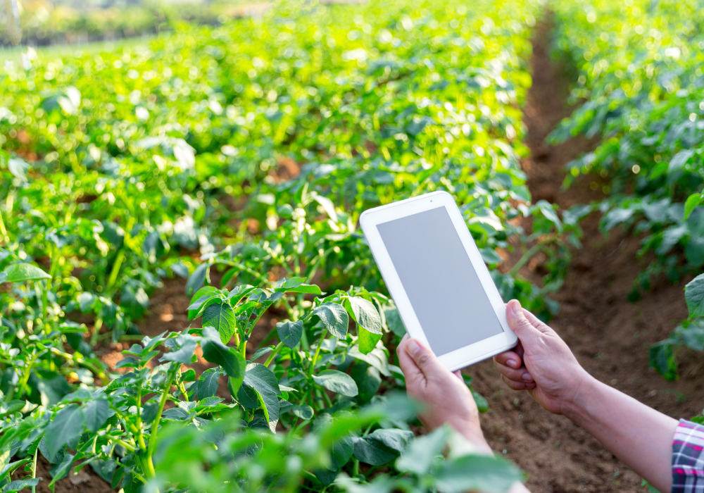 From Farm to Table: The Journey of Food Logistics - Transcontinental ...